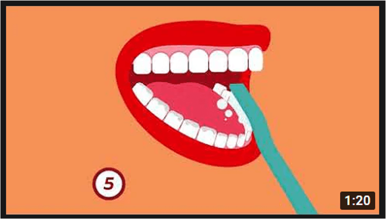 Cuida tu sonrisa con Colgate | San Pablo Farmacia